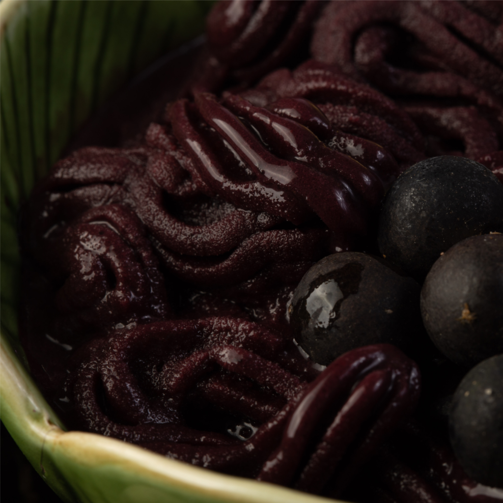 Açaí Natural Premium – Açaí Fruit Show – Seja um Franqueado Show!